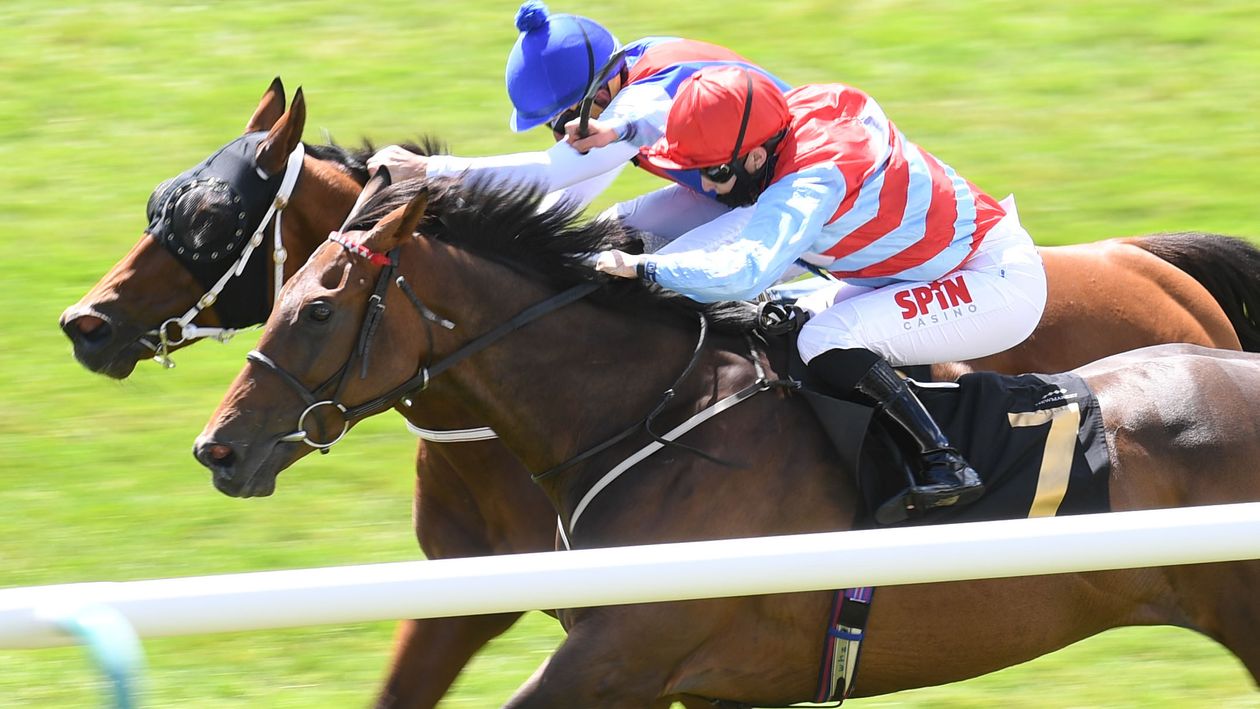 Free racing tips: David Clough previews Friday's action with Nap and ...