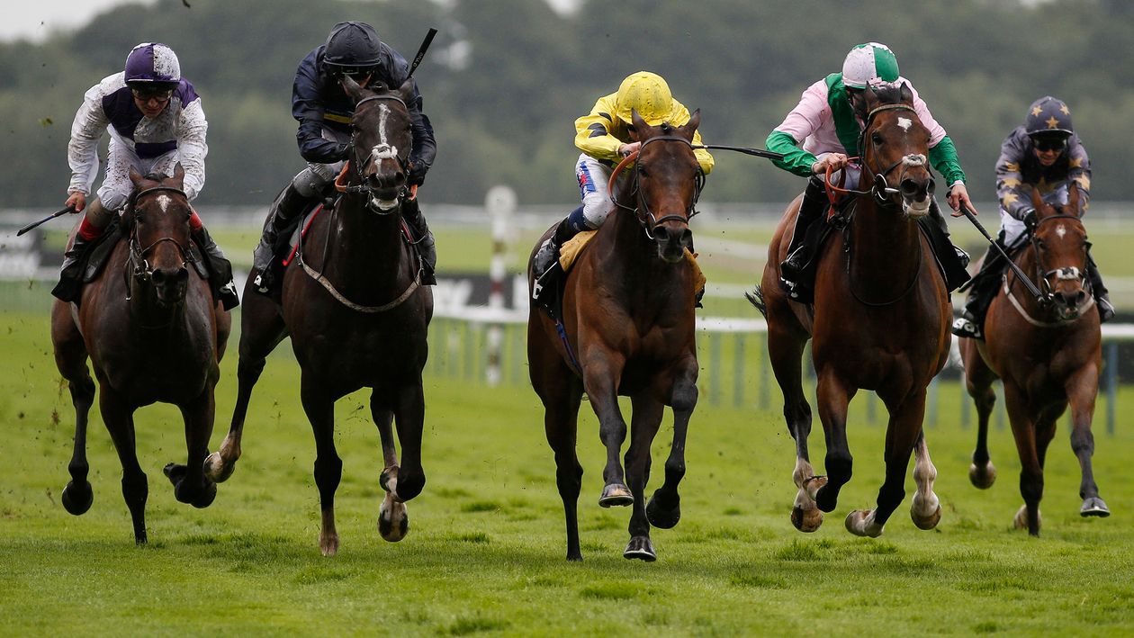 Gallops report from Andrew Balding's Lambourn yard
