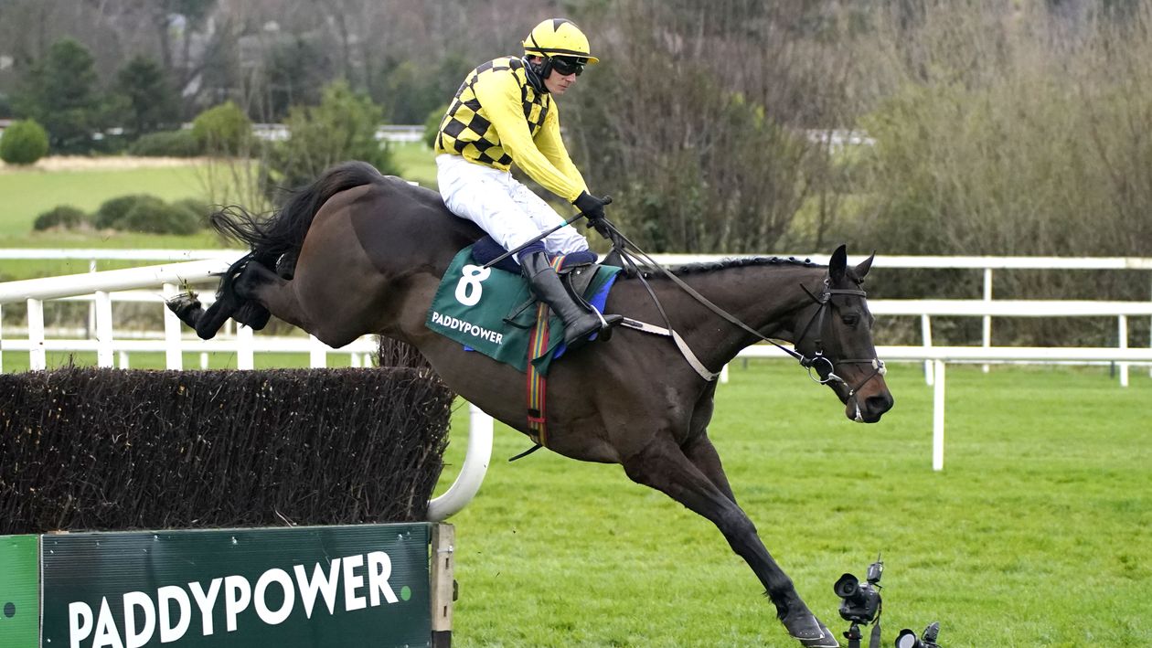 Horse Racing Analysis | Sporting Life Arkle and Timeform ratings