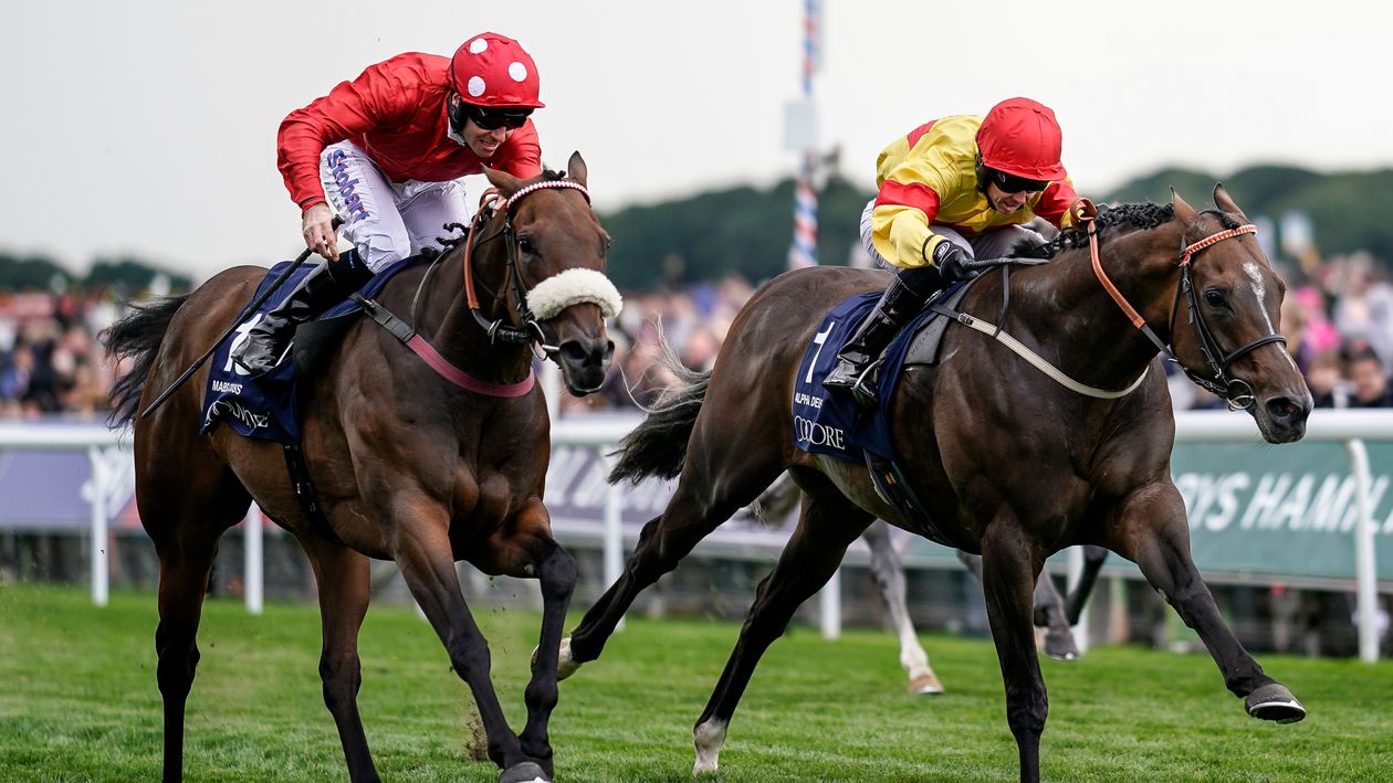 Alpha Delphini 14/1 with Sky Bet for the Prix de l'Abbaye at Longchamp