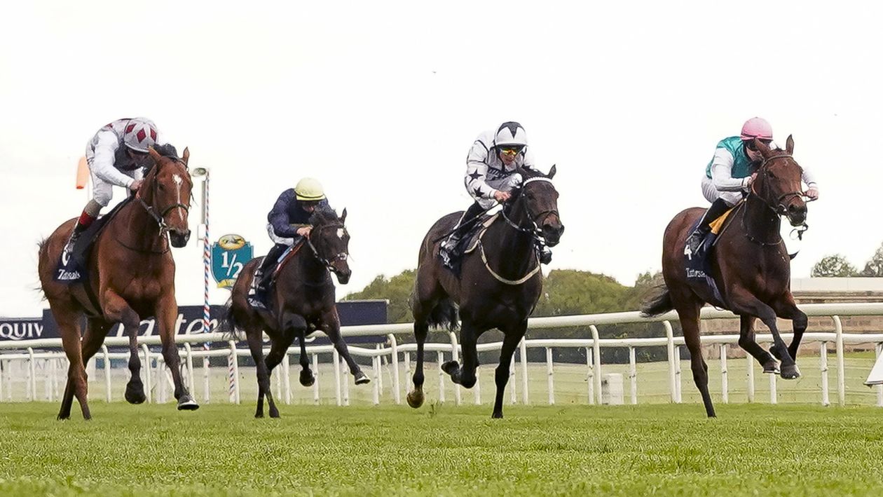 Arc de Triomphe news: Teona peaking for big race