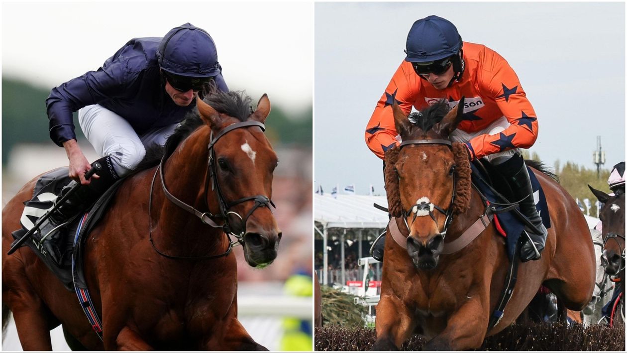 Analysis and tips for the Breeders' Cup and Charlie Hall Chase
