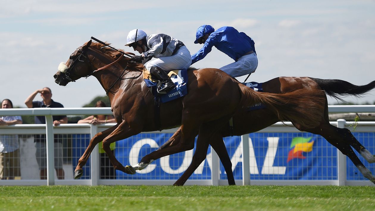 Cassie Tully on the Freshman sires represented at Tattersalls Book One