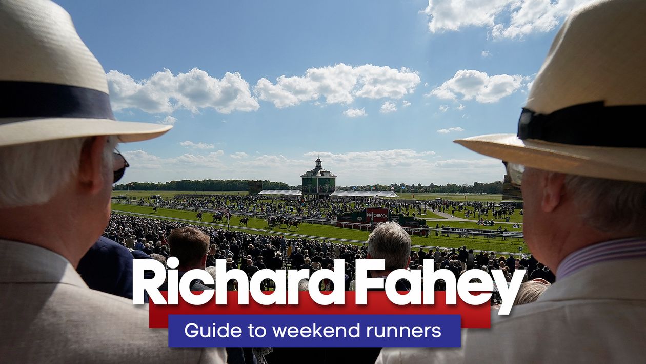 Richard Fahey: Growl on the prowl | Guide to Saturday runners at York ...