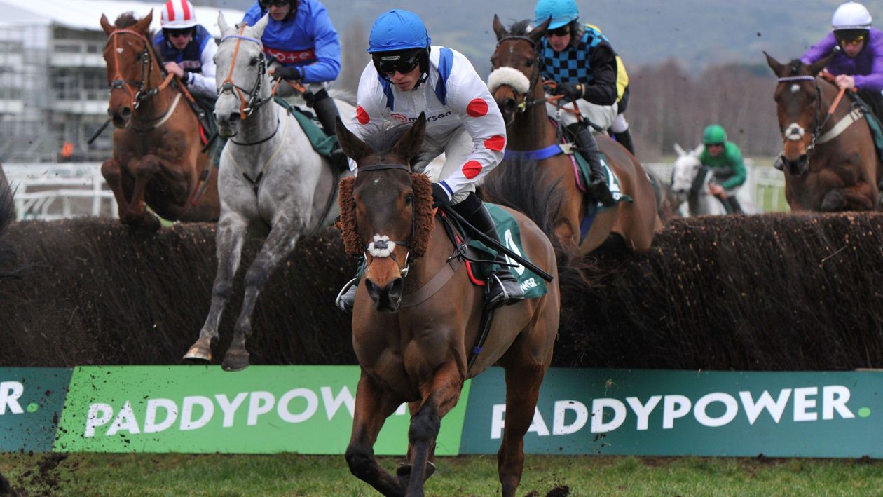 Paddy Power Gold Cup: Il Ridoto the one for money
