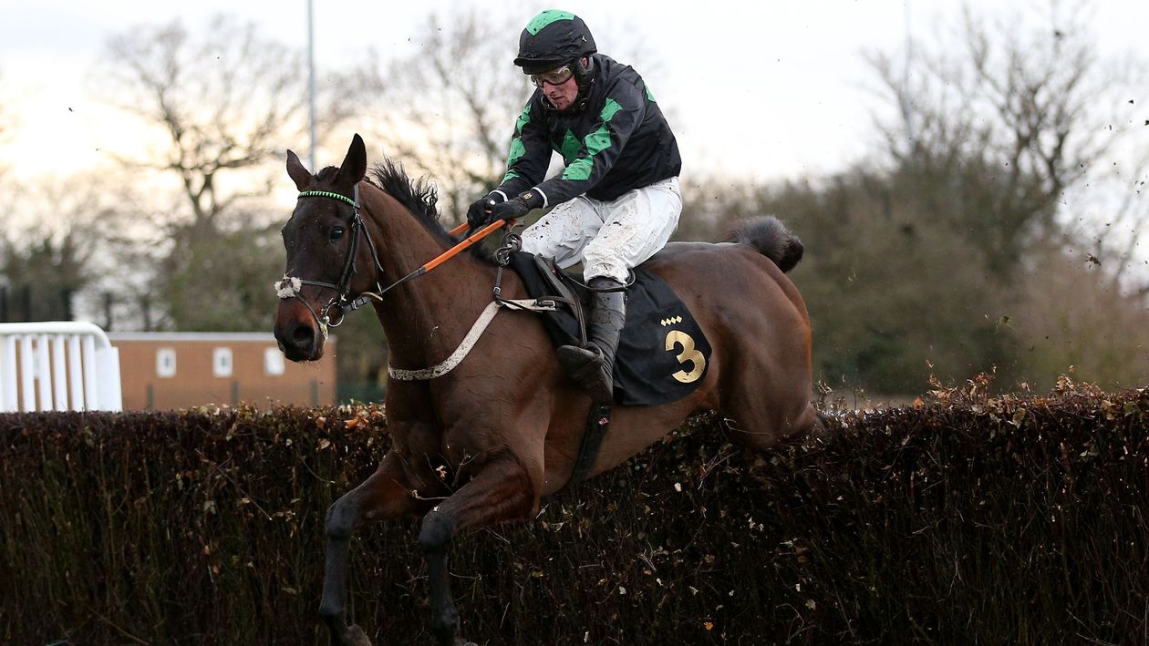 Grand National latest: Jockey Stan Sheppard dreaming of Aintree glory ...