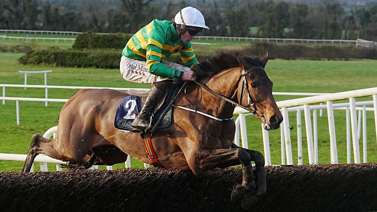 Oscars Brother possibly heading for top table after Ten Up Novice Chase ...