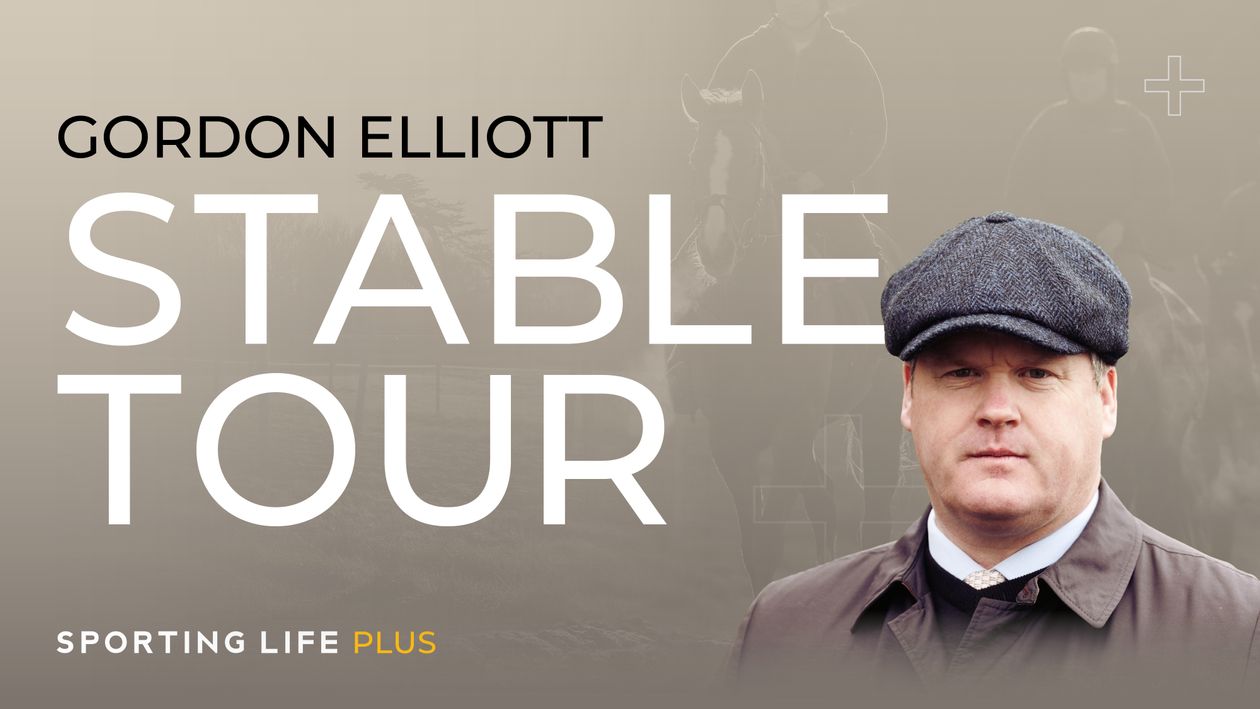 Gordon Elliott Stable Tour: 2025/26 Jumps Season