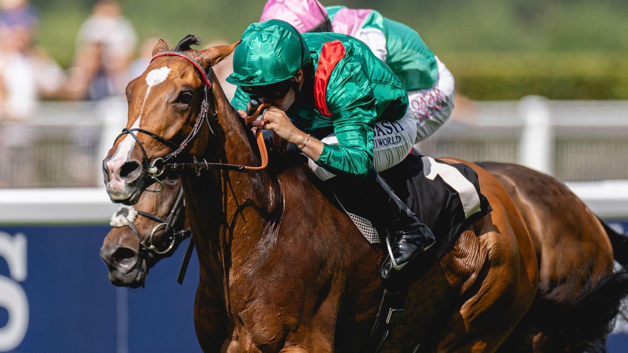 Calandagan half-sister top lot at Tattersalls