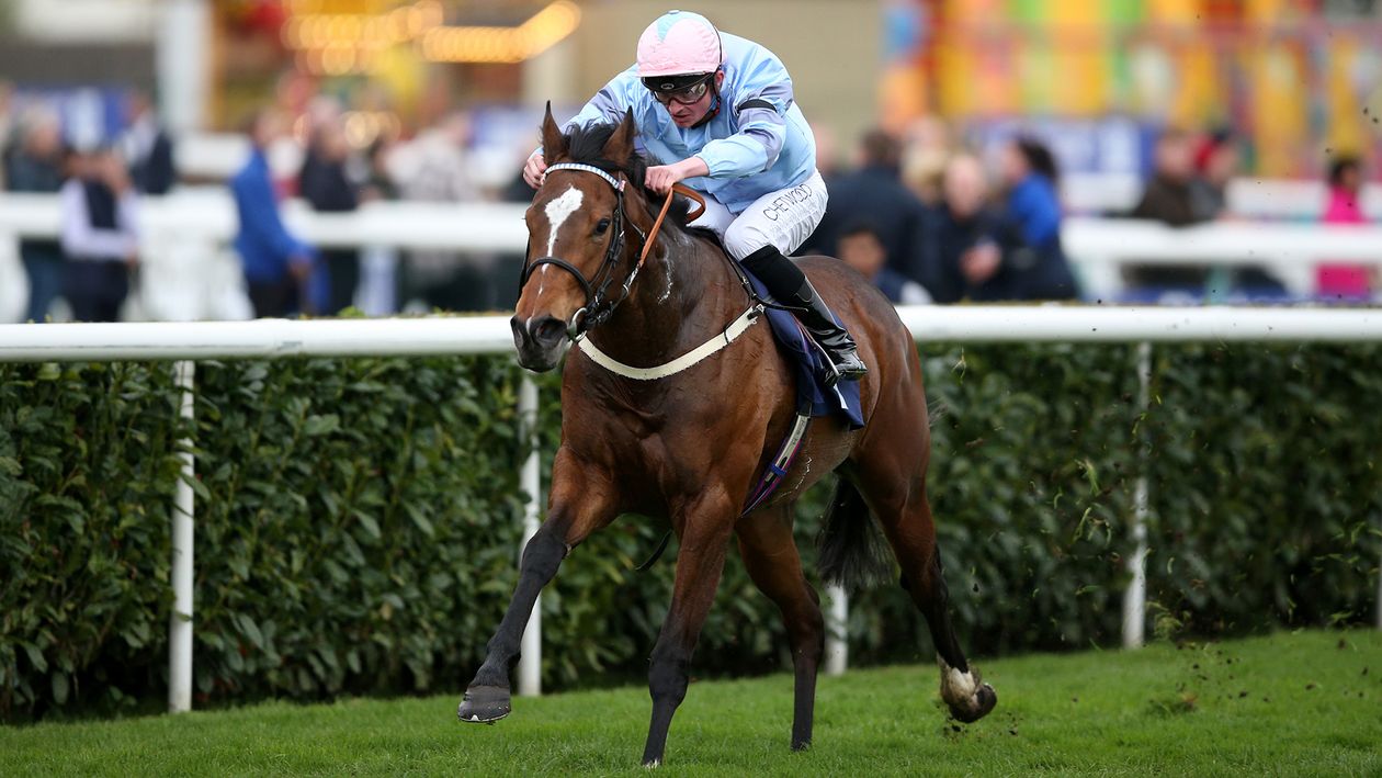 Pam Sly targeting Dahlia Stakes with Astral Beau