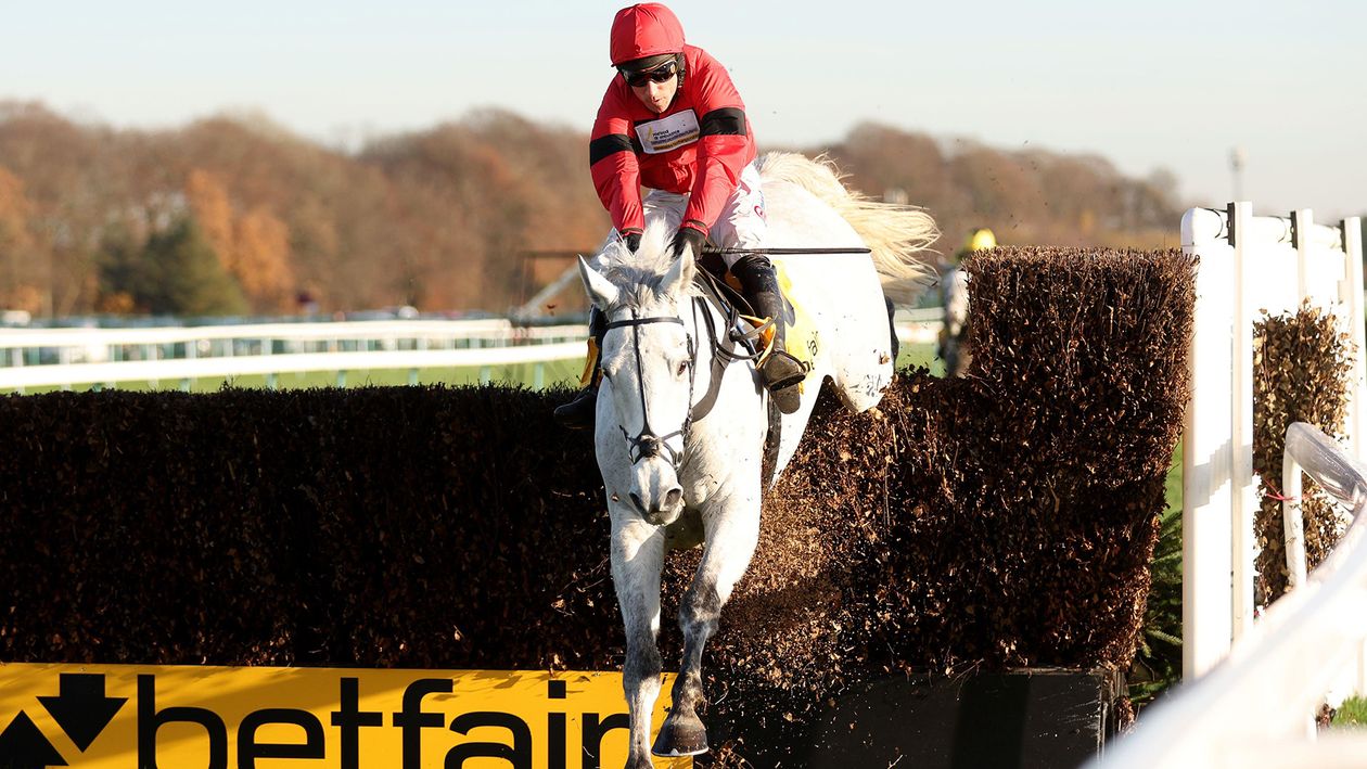 Grey Dawning among key weekend entries at Kelso