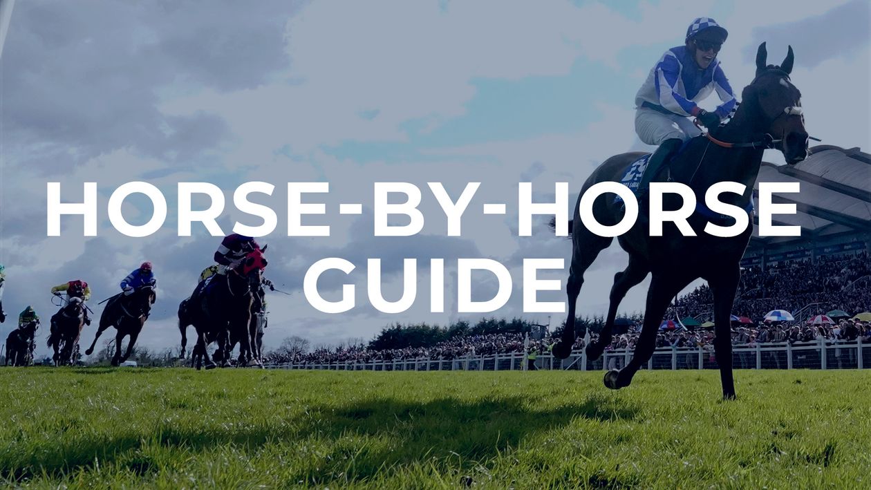 BoyleSports Irish Grand National runners: A Pinsticker's guide to ...