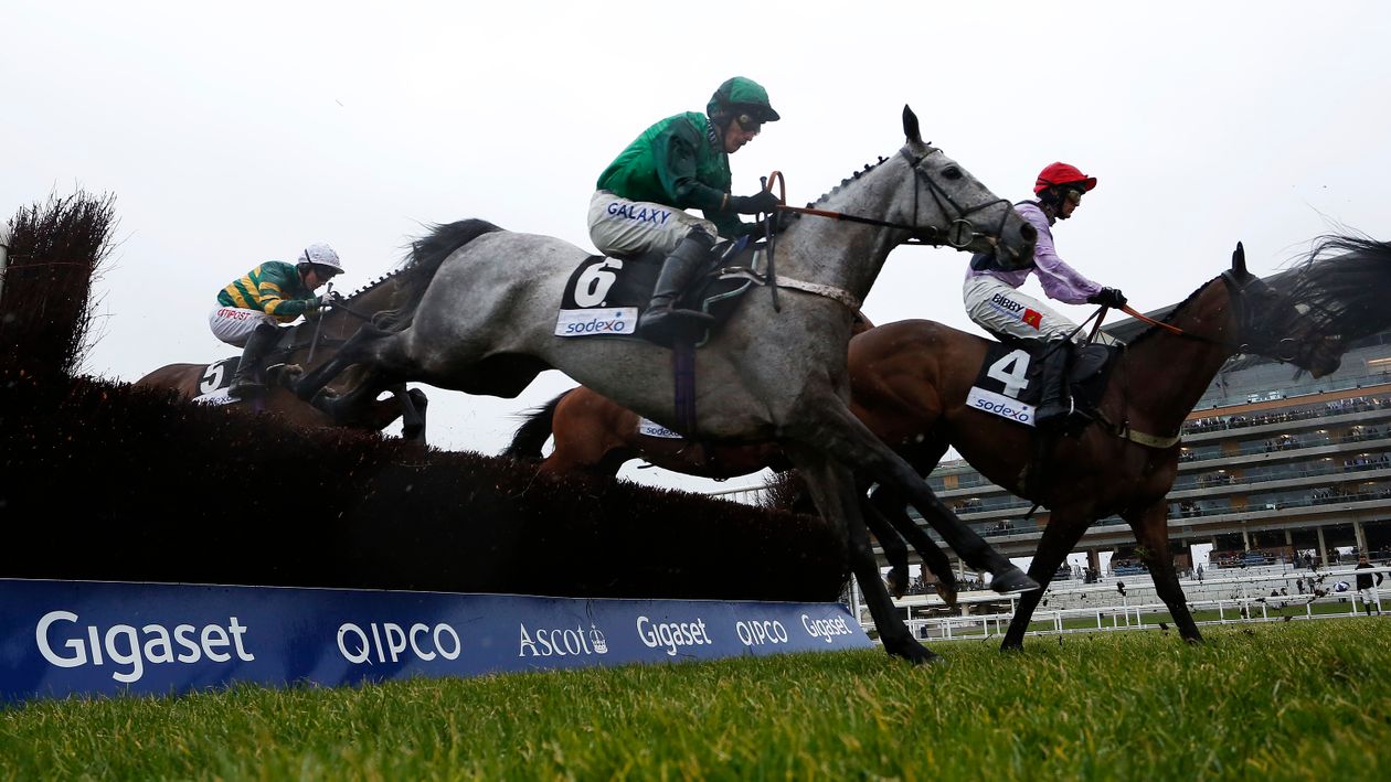 Bet365 Gold Cup Horse-by-Horse guide