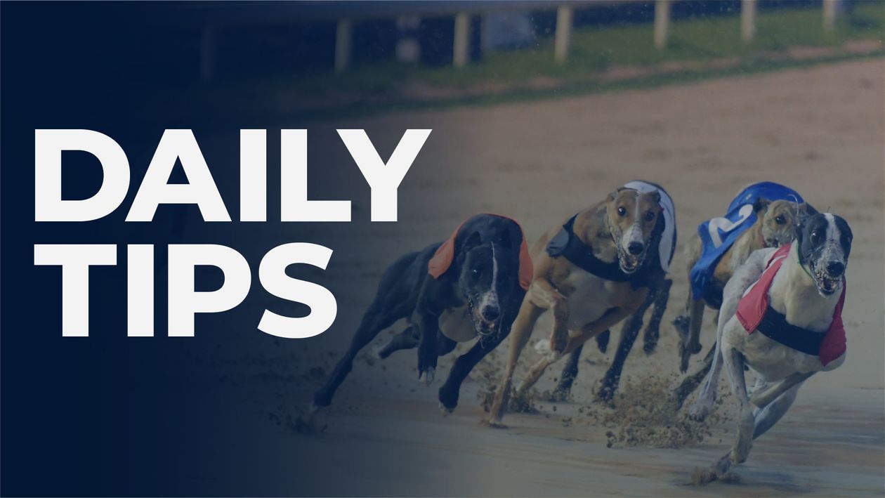 Greyhounds betting tips: Daily dogs racing preview and best bets