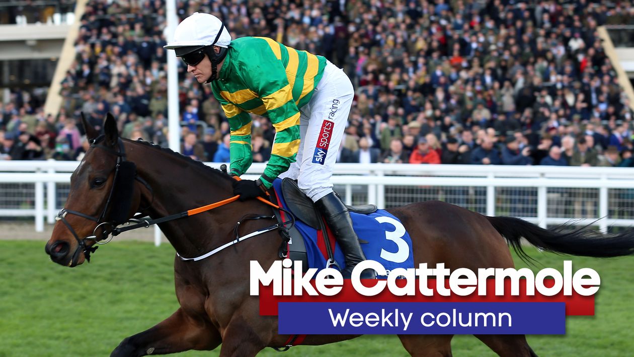 Mike Cattermole column including Sire Du Berlais, Nicky Henderson and ...
