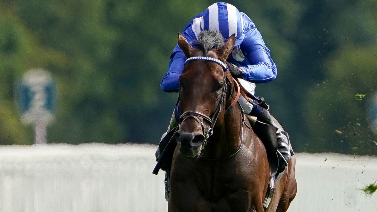 Best horses sired by Sea The Stars including Baaeed