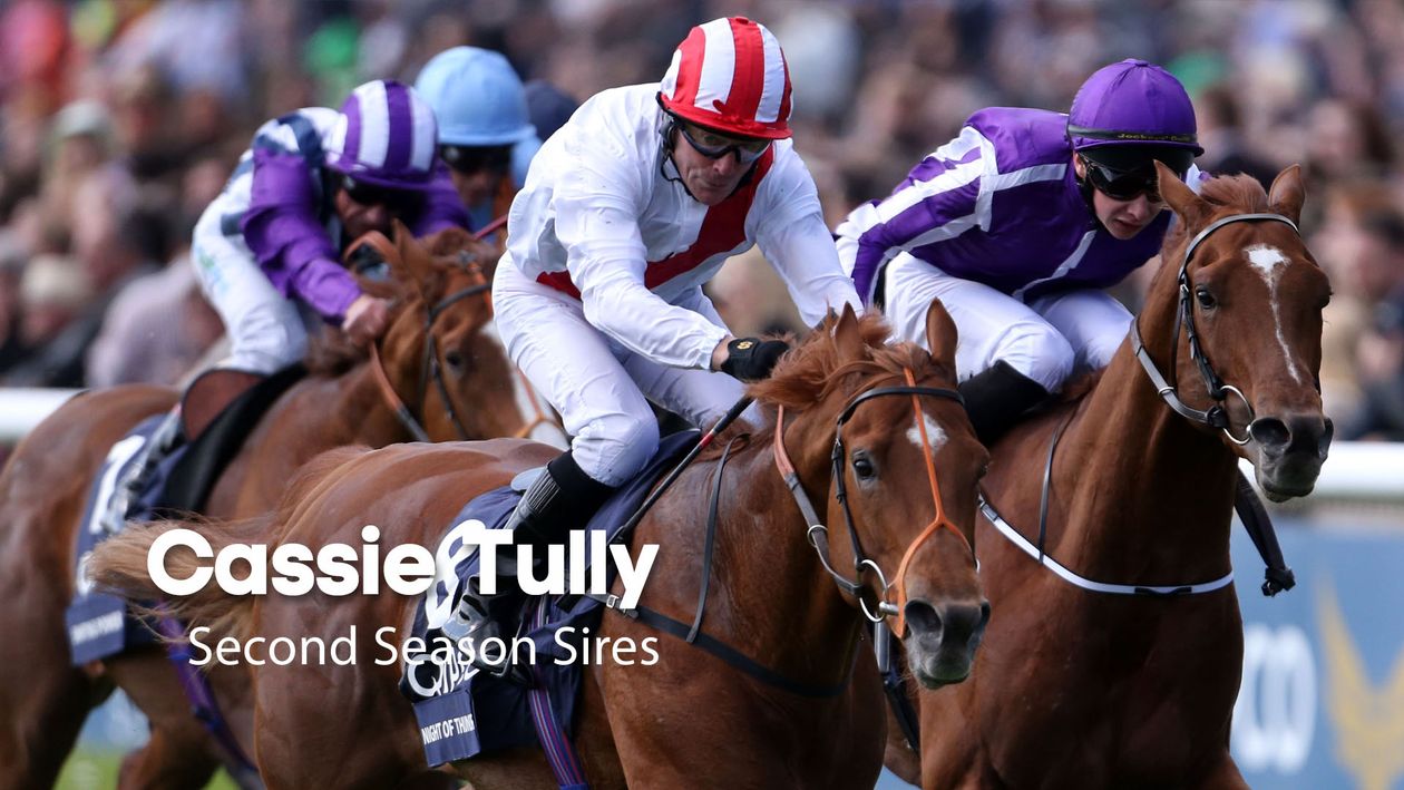 Cassie Tully on the second season sires Night Of Thunder, Gleneagles ...