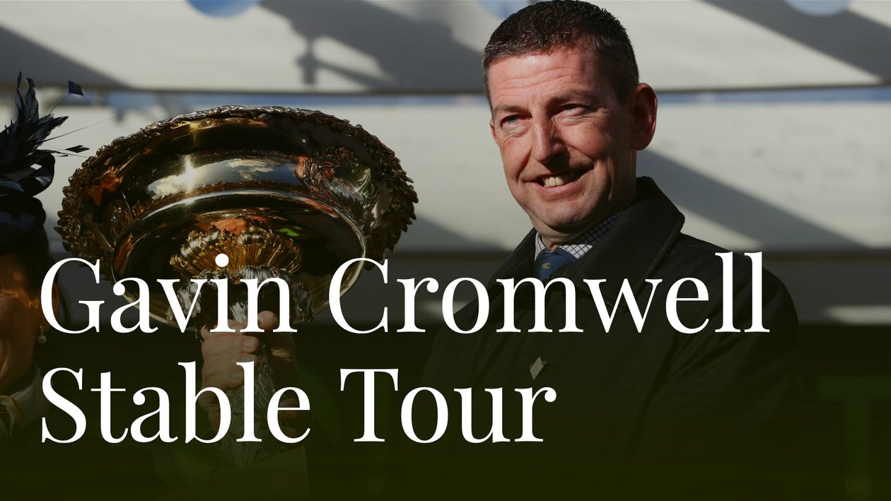 Gavin Cromwell: Stable Tour including Darver Star, Debuchet and Jeremys ...