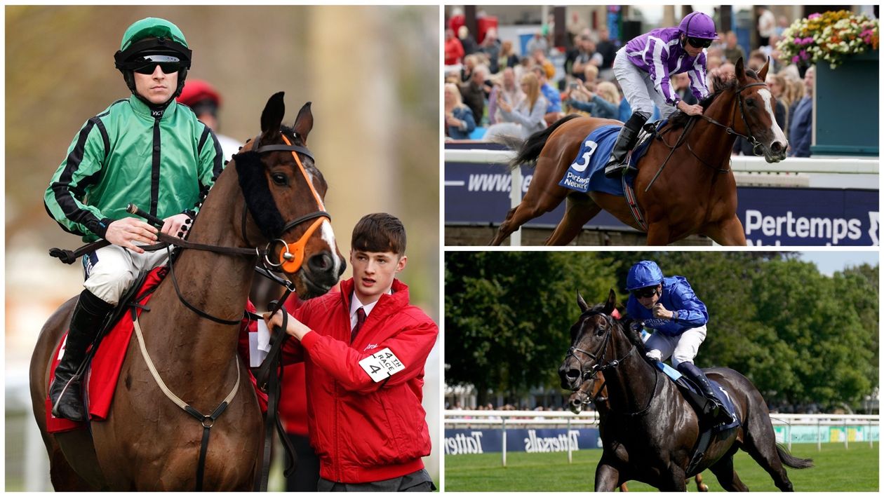 Expert Panel: Weekend racing preview including Breeders' Cup