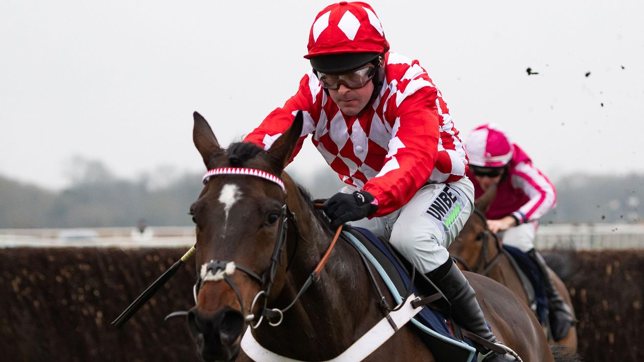 Windsor Sunday review and replays: Jingko Blue another winner for Nicky ...