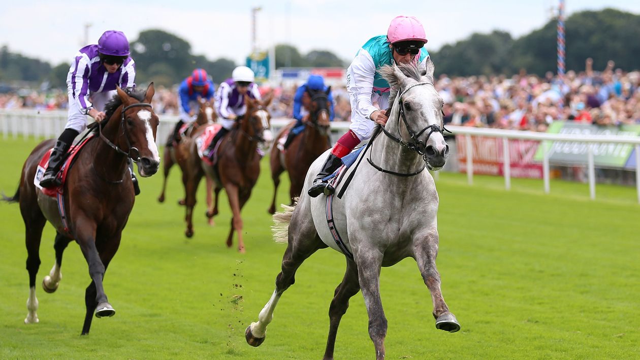 Sporting Life tipping record: How our recommended bets have performed ...