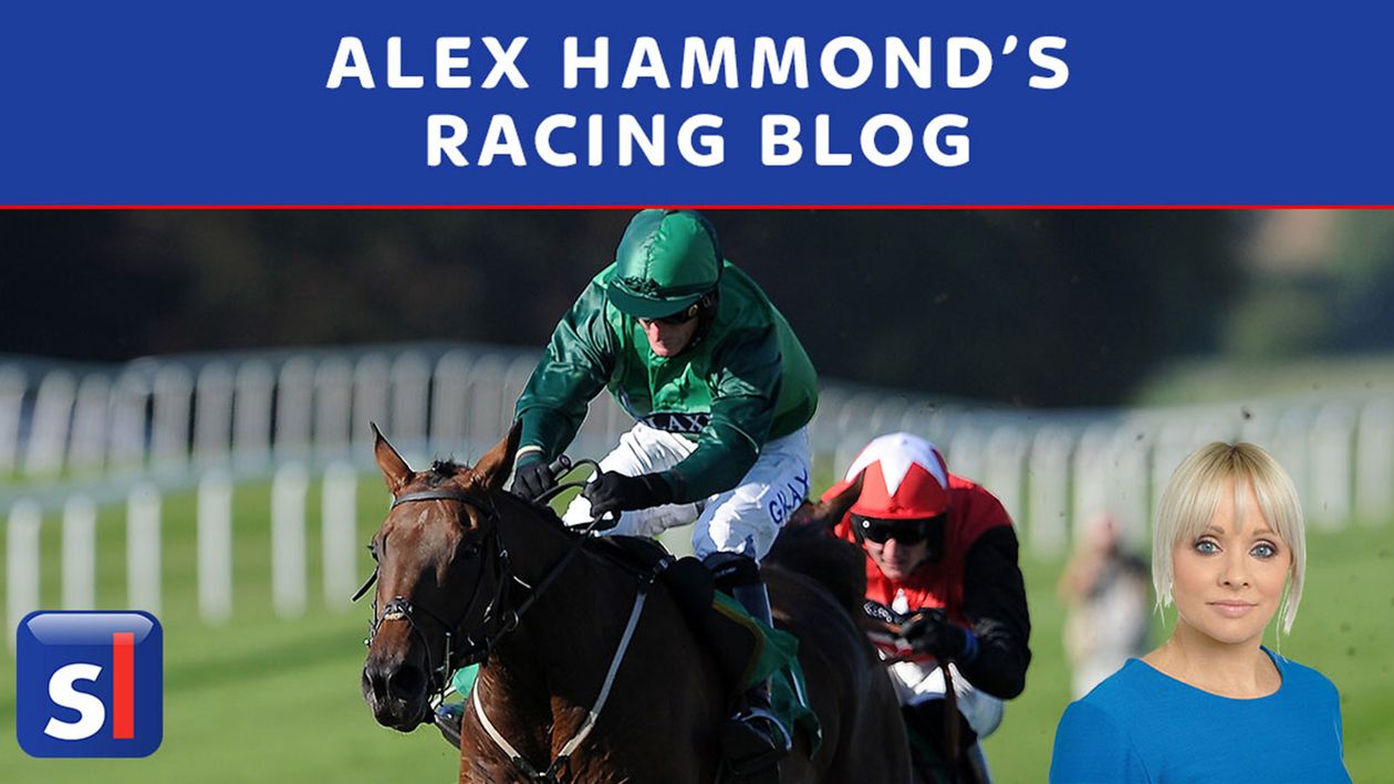 Alex Hammond racing blog featuring tips for the Lanzarote Hurdle at Kempton