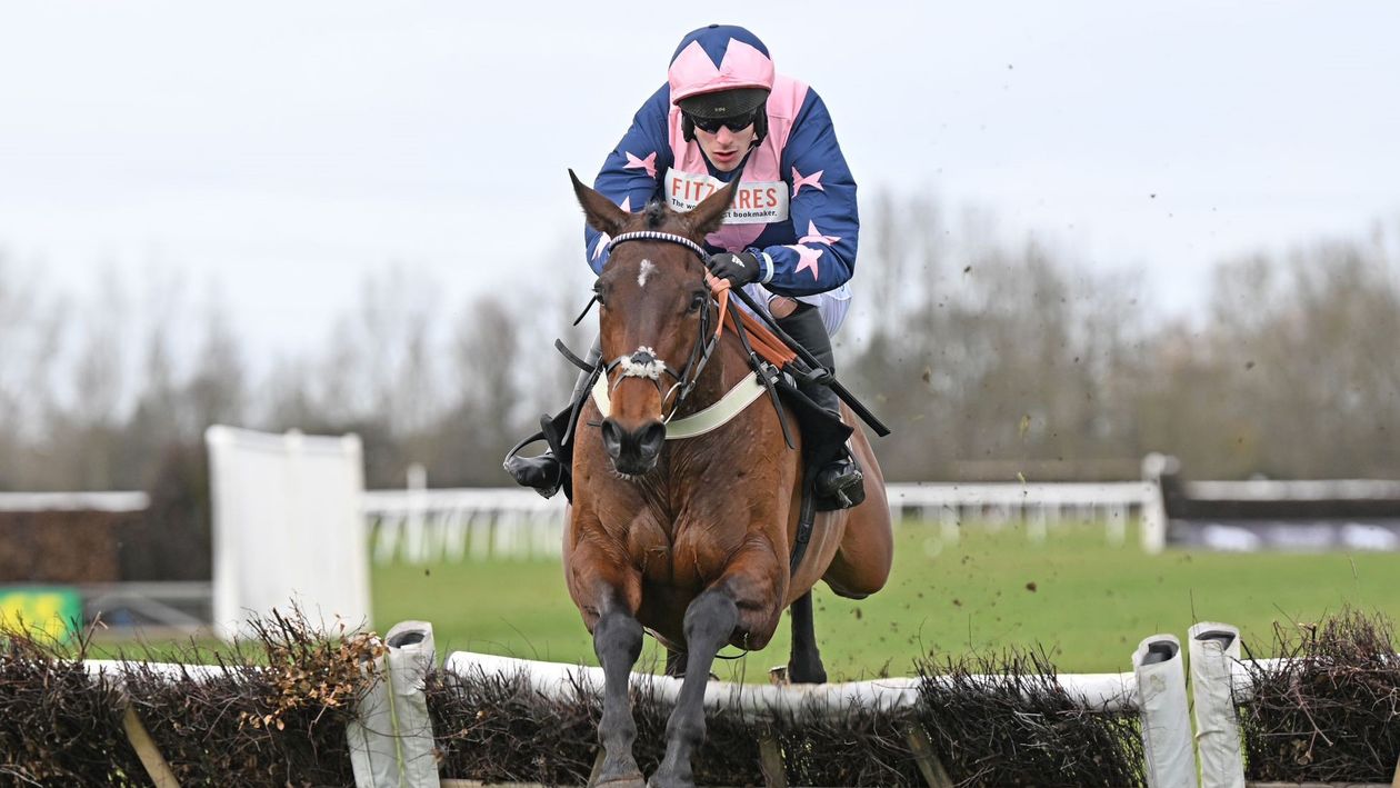 Ben Pauling prepares Samuel Spade for Cheltenham Festival