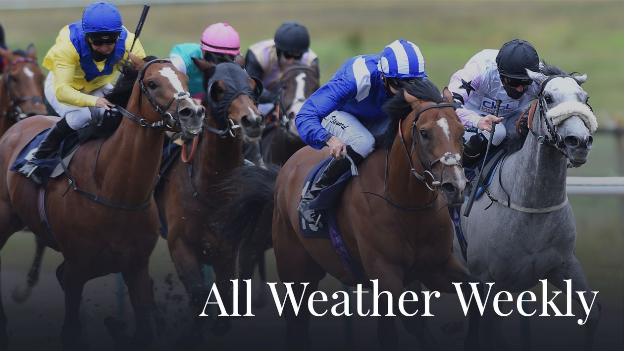 All Weather round-up: Eyecatchers, Wolverhampton reflections and ...