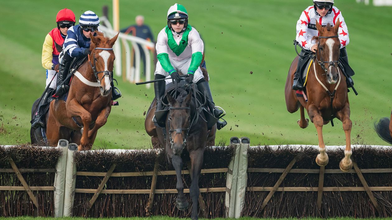 Greatwood Hurdle preview: Jonjo O'Neill Jr excited about Wilful chance