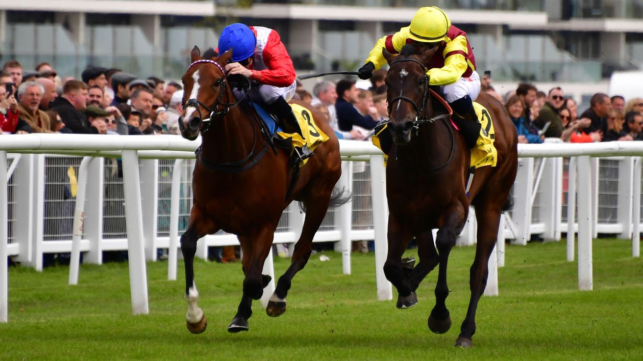 Saturday analysis and horses to follow from the Greenham and Fred ...