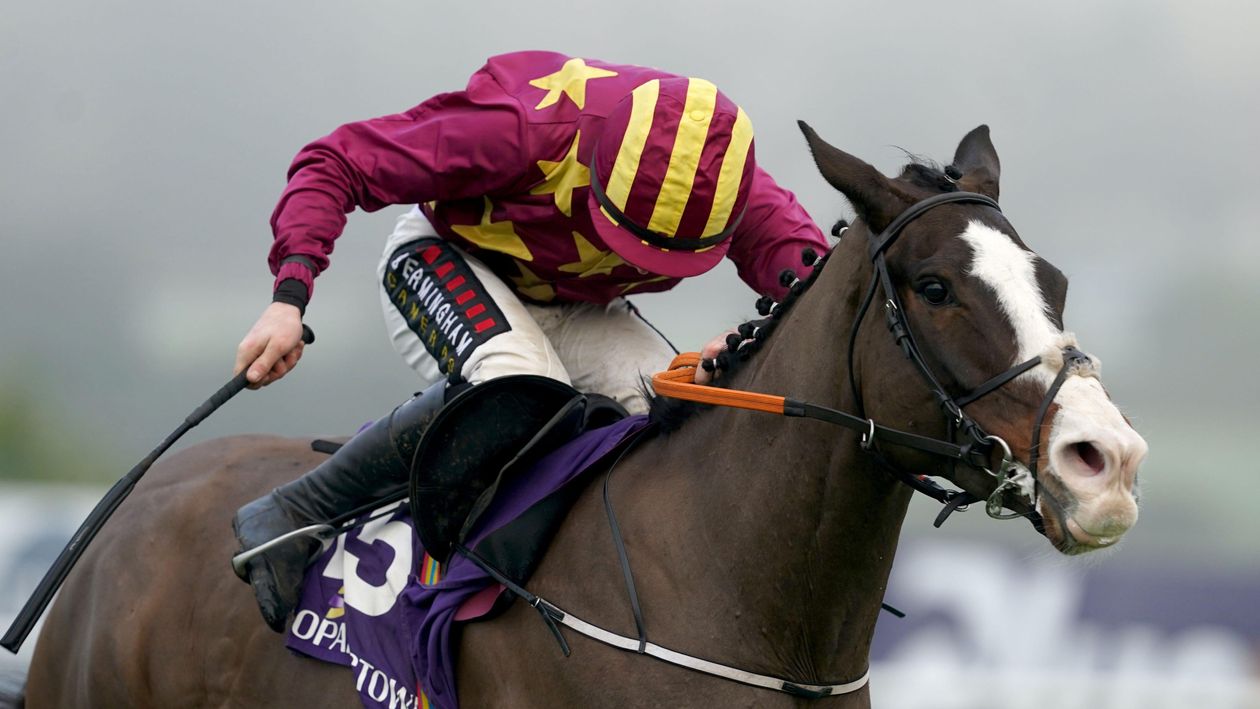 Koktail Divn boost for Henry De Bromhead ahead of the Cheltenham Festival