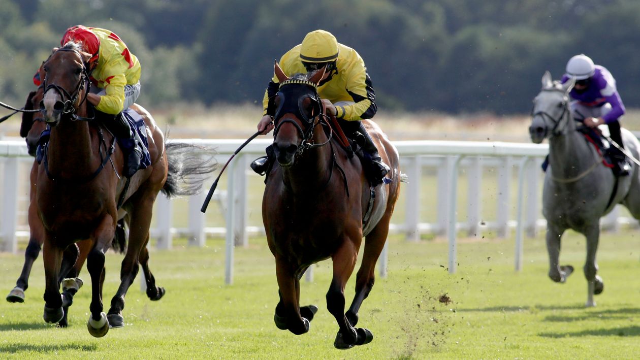 Free racing tips: Nick Robson previews Monday's action with Nap and ...