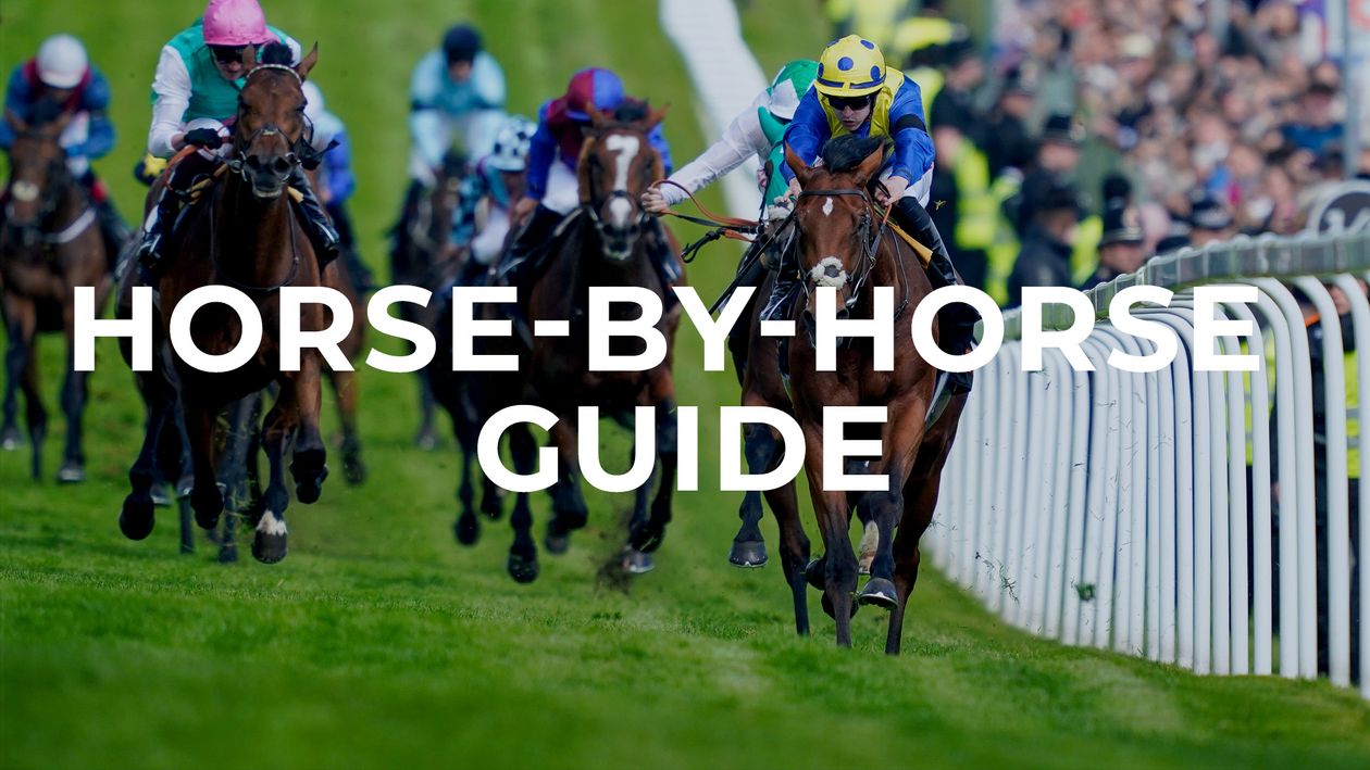 Derby tips: Horse by horse guide and Value Bet shortlist for Epsom Classic