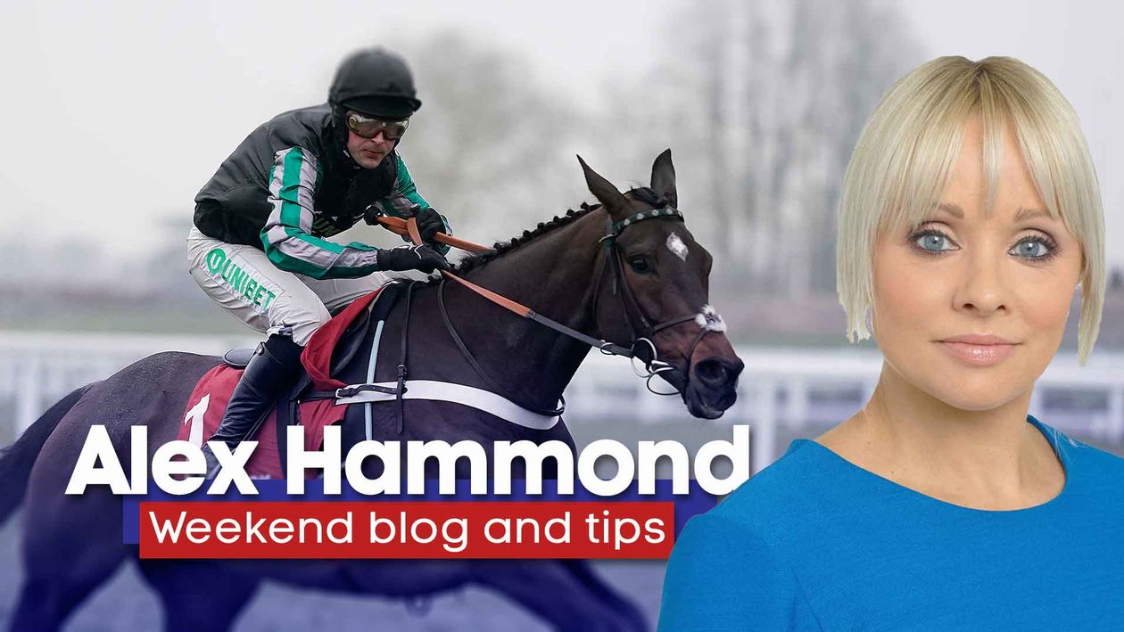 Alex Hammond: Take on Altior at Cheltenham Festival
