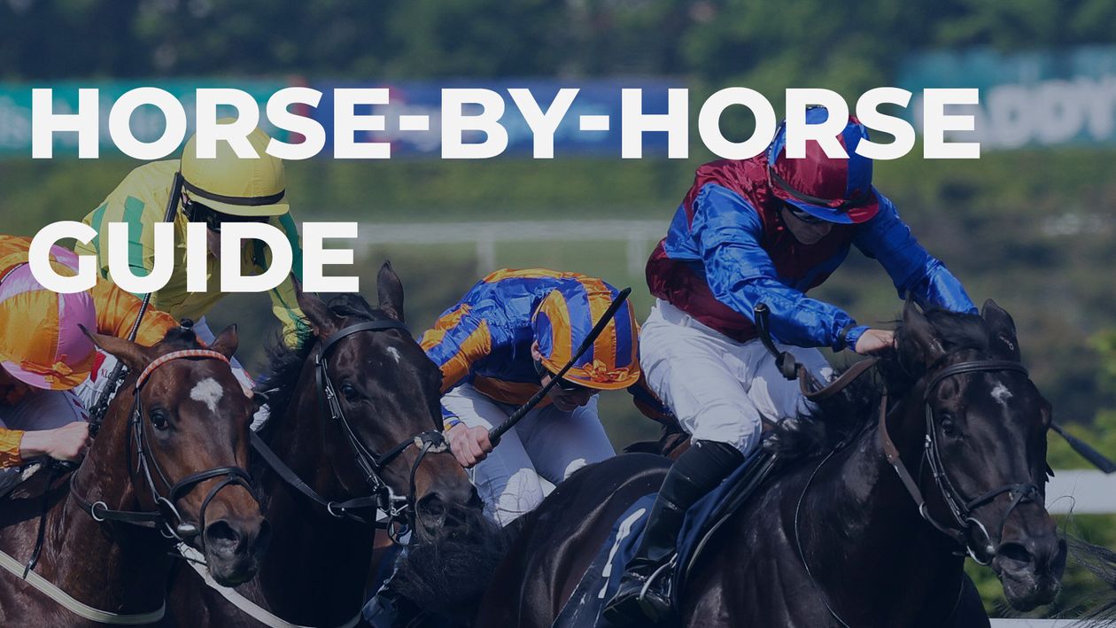 Betfred Derby preview: David Ord horse-by-horse guide and tips