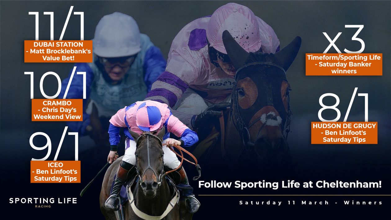 Sporting Life racing tipping team hit the bookies ahead of Cheltenham ...