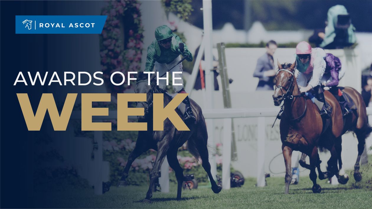 Matt Brocklebank's Royal Ascot Awards for 2024 including Rosallion as the star performer