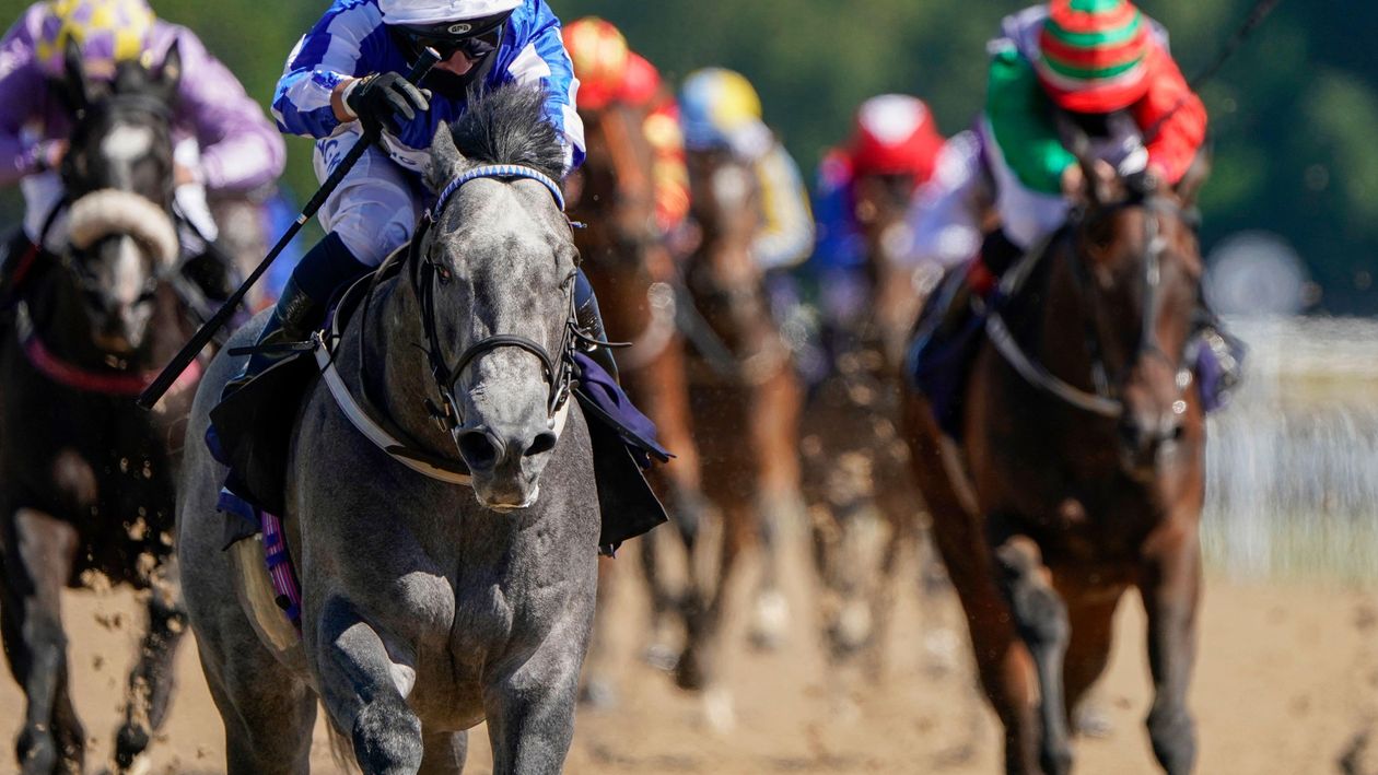 Timeform TV Focus: Saturday 20 January