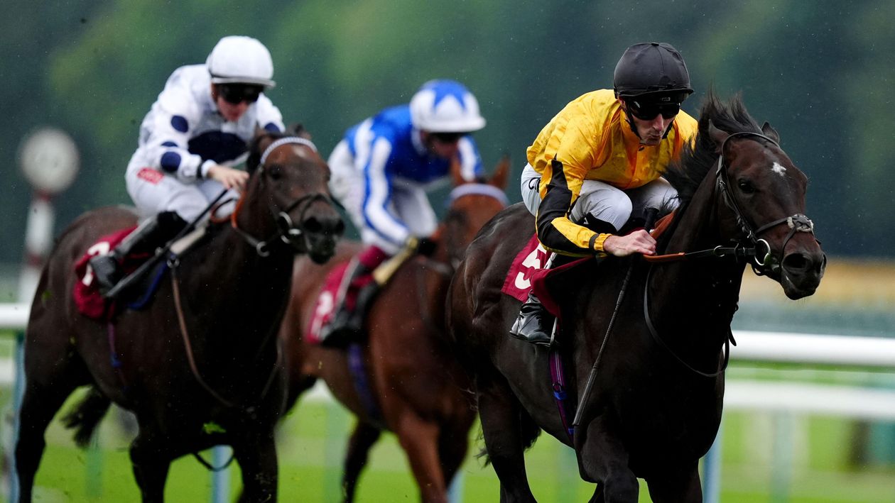 Horses to follow: Trackside Live team with horses for your tracker