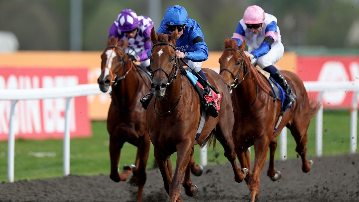 Timeform analysis | 2000 Guineas contender Notable Speech