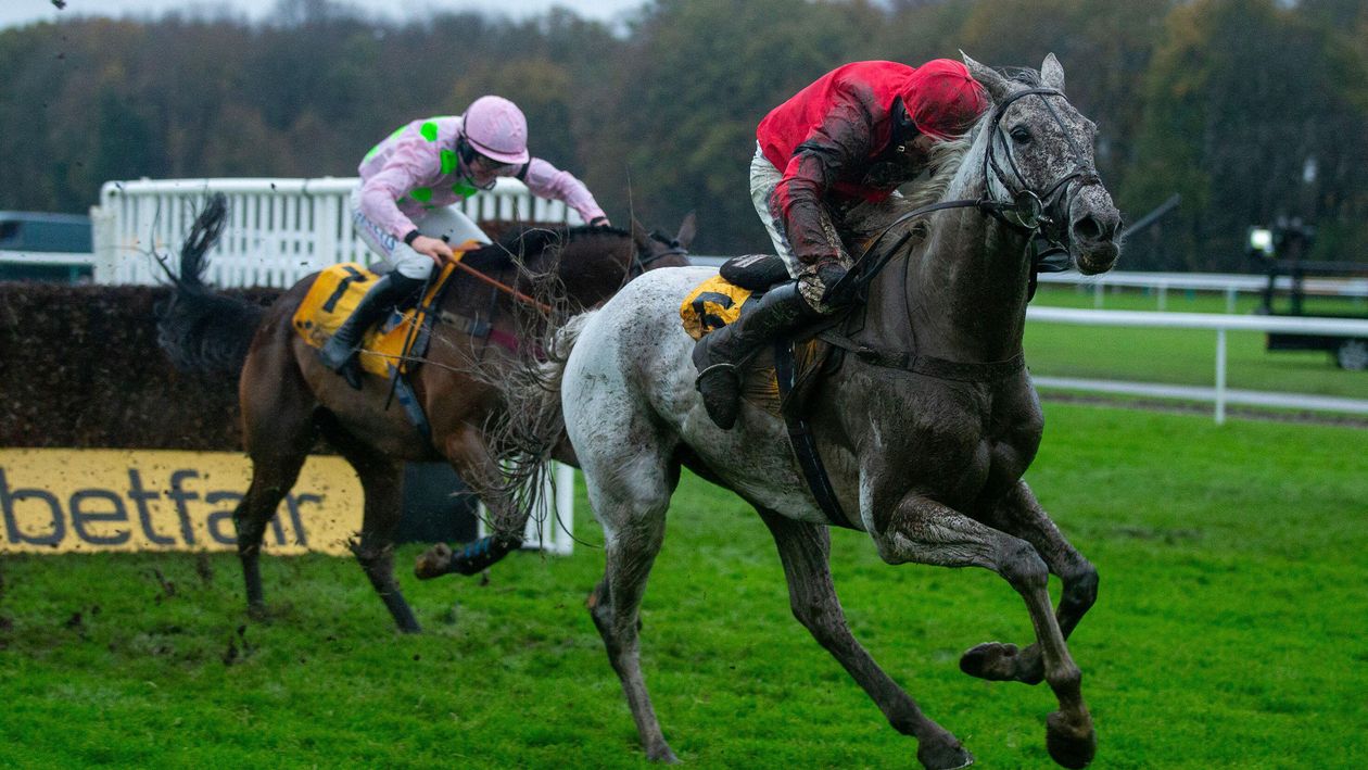 Grey Dawning in King George frame following second in Betfair Chase at ...