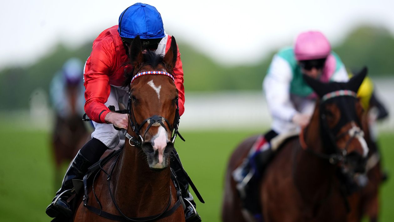 Paddock Notebook: Horses to follow from Ascot, Sandown and Newmarket