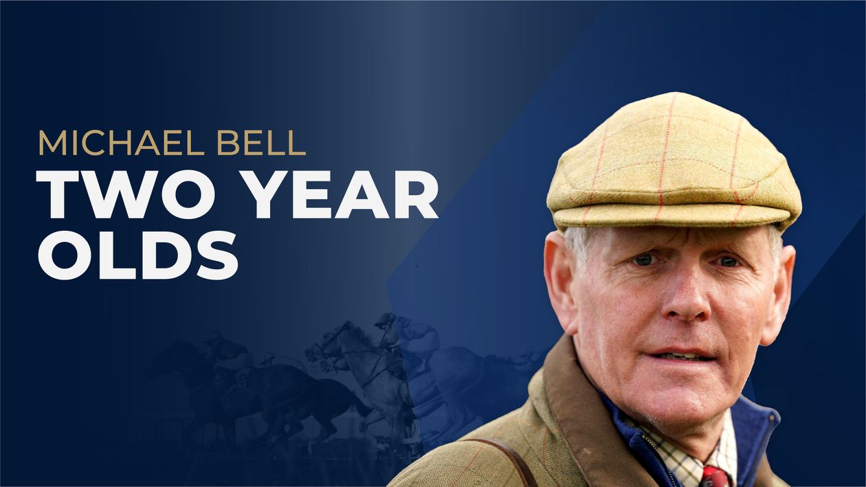 Dan Briden Two-Year-Old Guide: Michael Bell