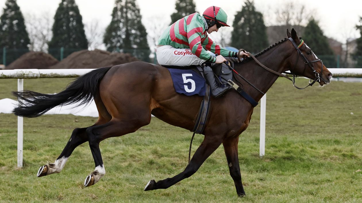 Aintree's Old Roan Chase looks to be on the cards for Tommy’s Oscar