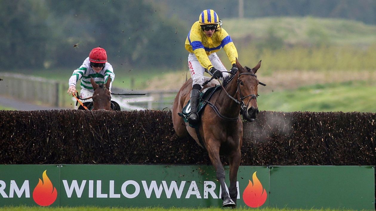 Spindleberry won the WillowWarm Gold Cup at Fairyhouse | report and ...