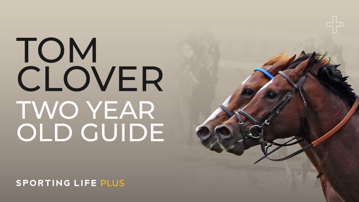 Dan Briden Two-Year-Old Guide: Tom Clover
