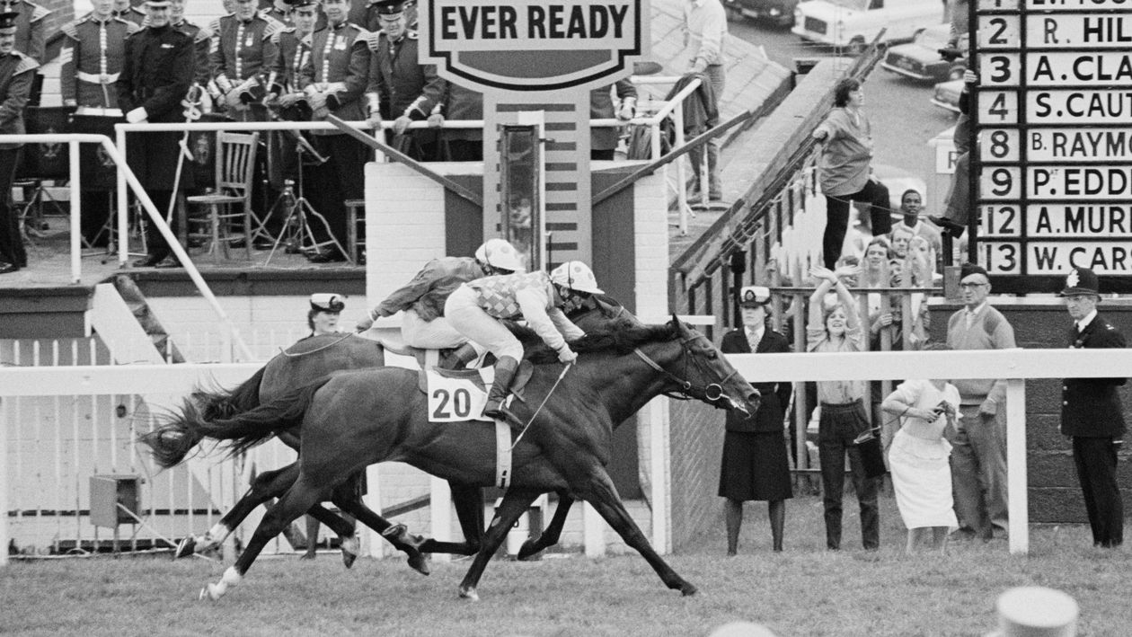 Mick Fitzgerald on the races and horses that led to his love of racing