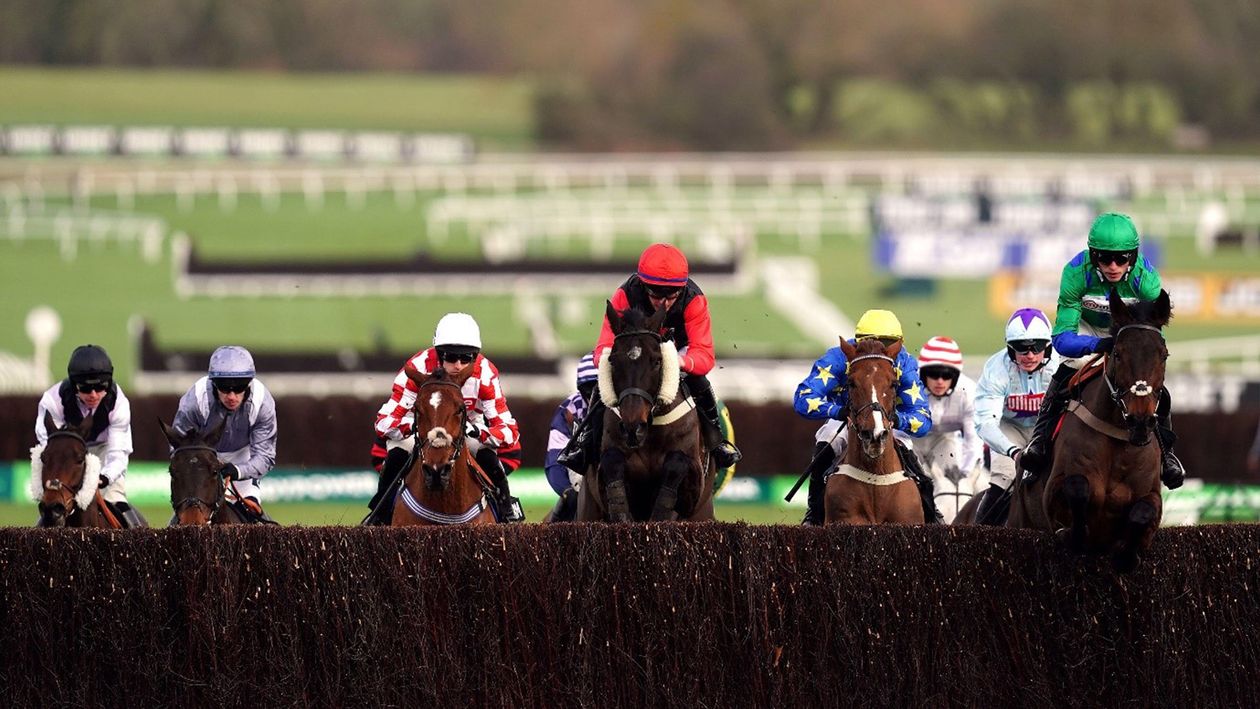 Cheltenham tips: Who are the best handicapped horses at the Festival ...