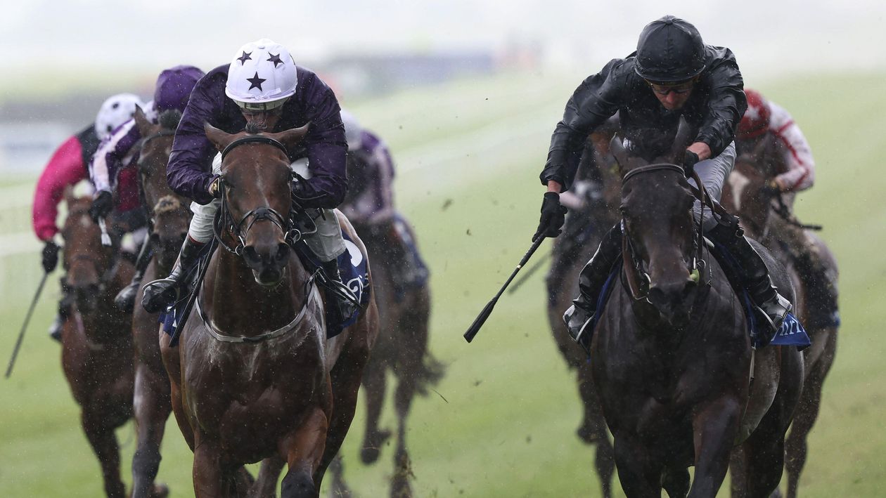 Curragh Saturday review and free video replays
