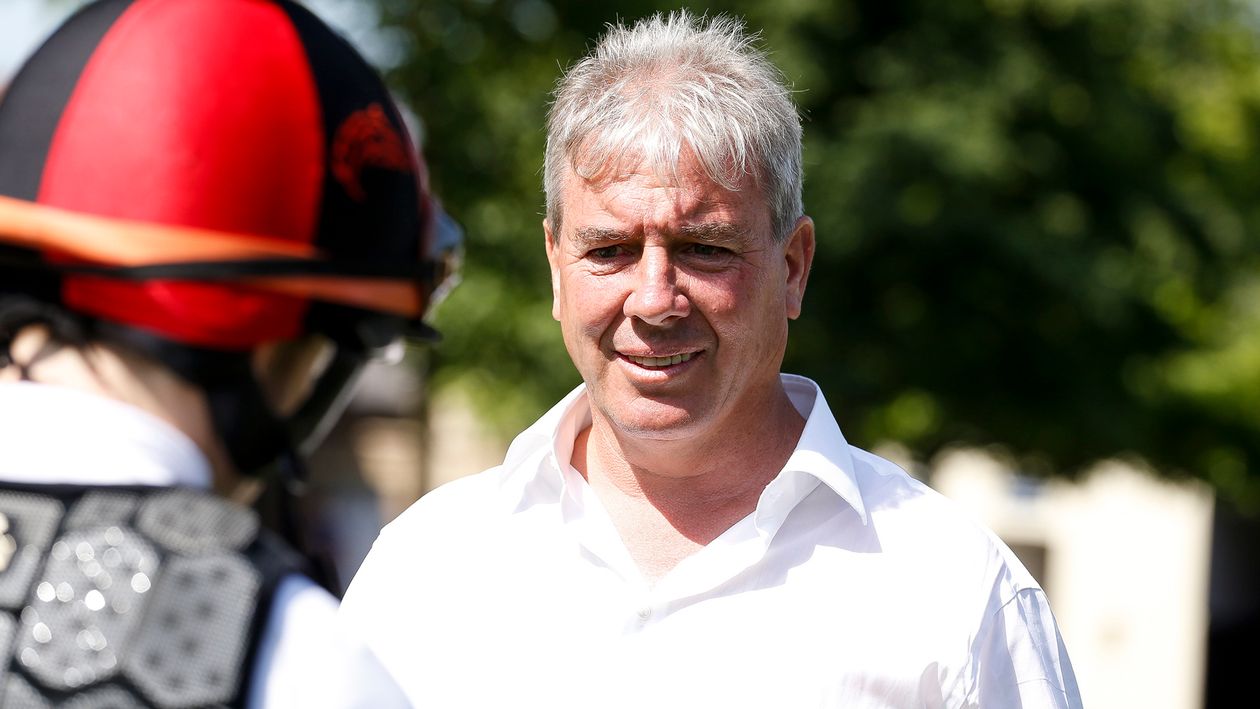 Wesley Ward's Maven set for Molecomb test at Goodwood